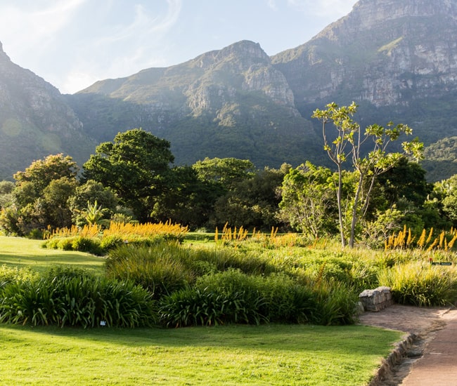 Milnerton Golf Club | Coastal Links Course | Cape Town | South Africa